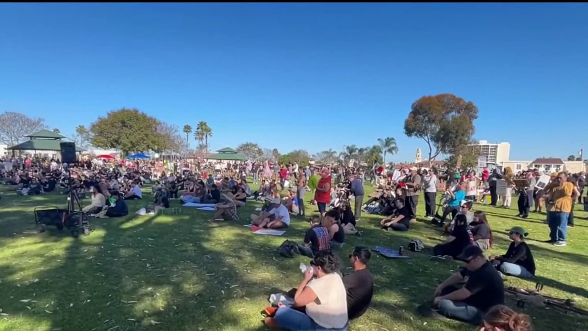 Anti-ICE rallies held across San Diego and multiple other SoCal ...