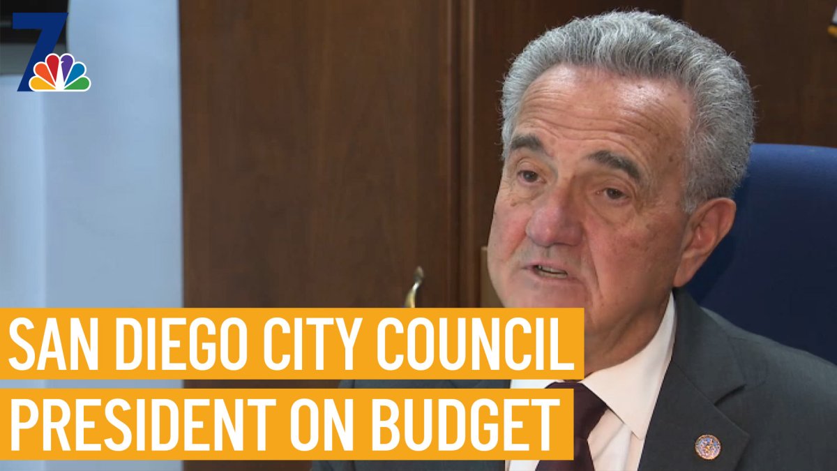 Politically Speaking: Talking budgets with San Diego City Council ...