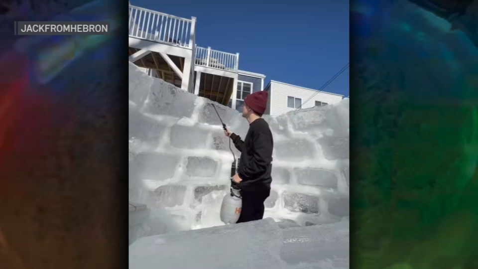 Backyard igloo goes viral in Boston before being destroyed – NBC 7 San ...
