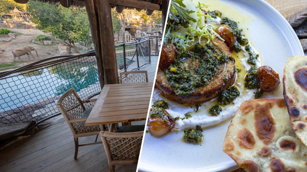 What to eat at Elephant Valley at the San Diego Zoo Safari Park – NBC 7 ...