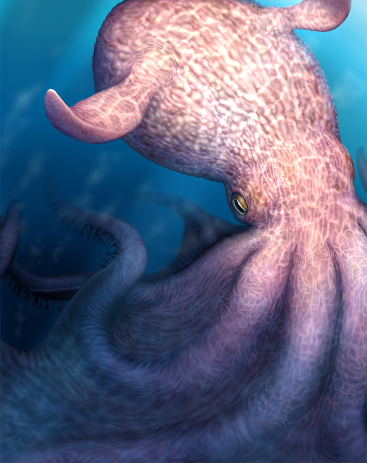Scientists just discovered a 60-foot long, kraken-like octopus – NBC 7 ...