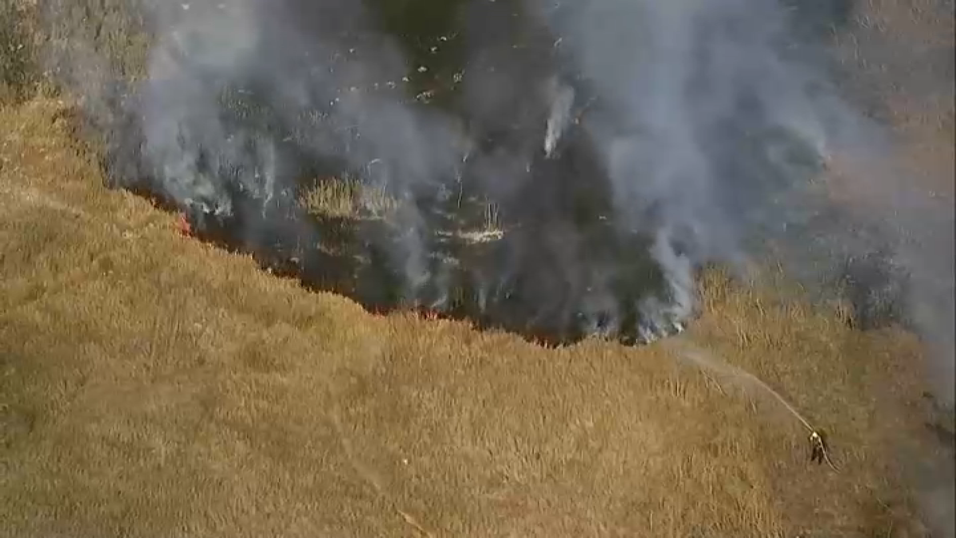 Brush fire sparks in Oceanside – NBC 7 San Diego