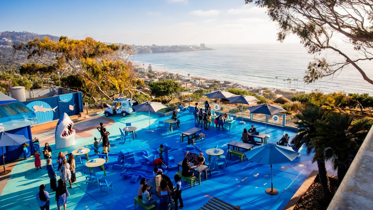 Shark-themed summer activities gill, er, will surface at Birch Aquarium ...