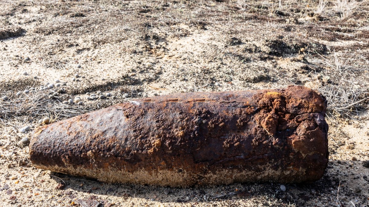Marines, bomb squad called to remove apparent artillery shell in Torrey ...