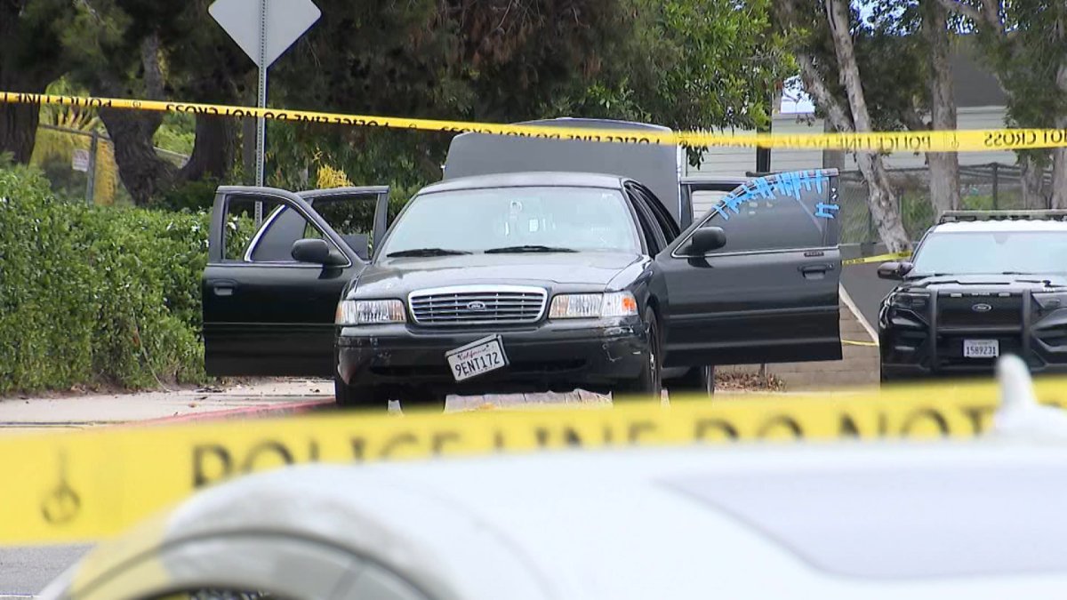 Person detained after bomb squad searches suspicious vehicle near ...