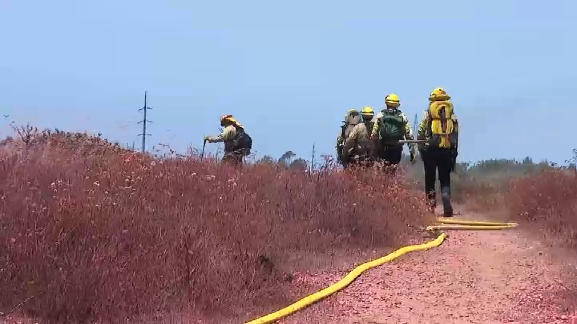 Sorrento Valley Fire scorches 90 acres – NBC 7 San Diego