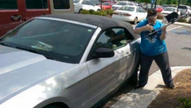 Man Arrested After Smashing Window, Saving Dog From Hot Car - NBC 7 San ... Man Arrested After Smashing Window, Saving Dog From Hot Car - NBC 7 San ...